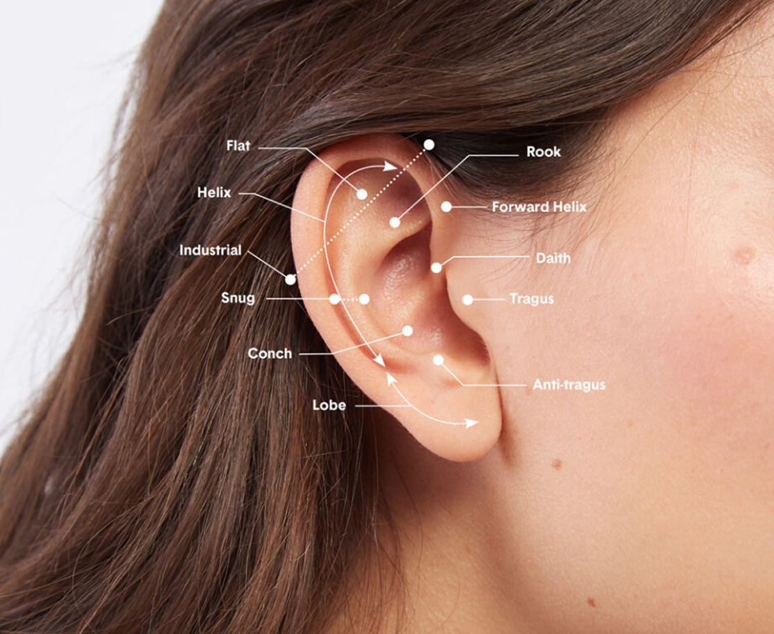 Ear Piercing Overview | Banter