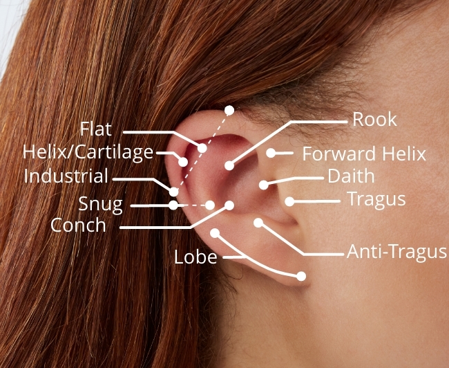 Ear Piercing Overview | Banter